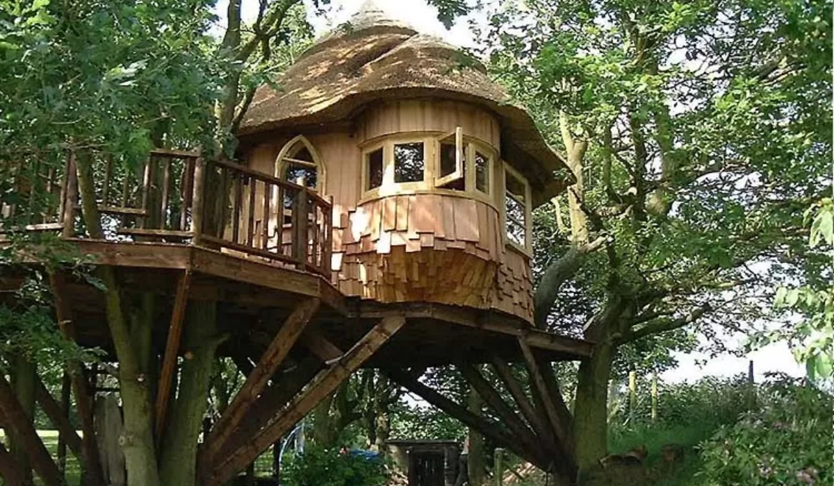 Top Treehouses in India: Embrace Nature's Charm