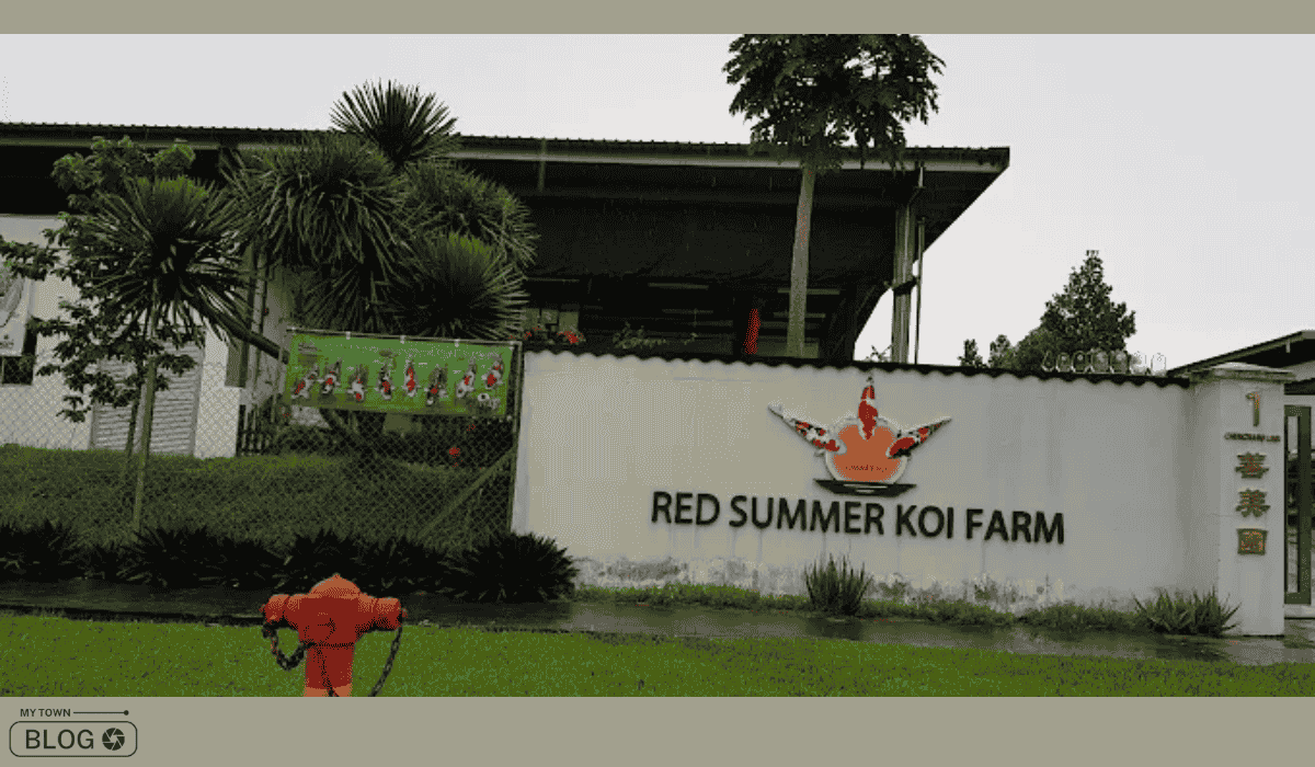 The Best Fish Farm Singapore in 2025
